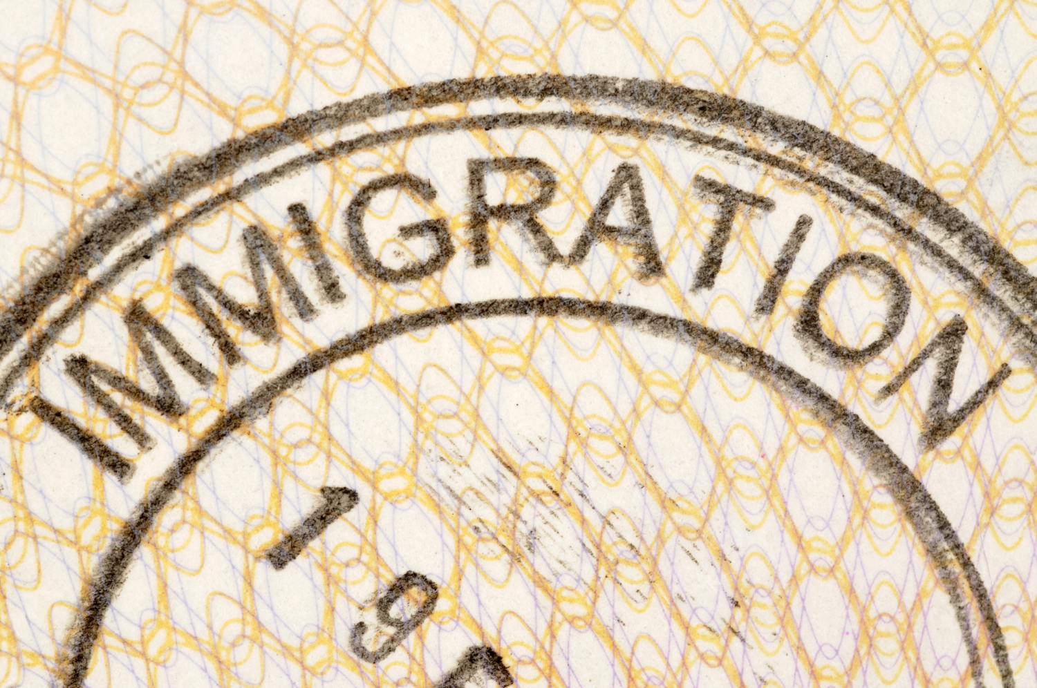 Visa vs. Immigration: What's the Difference? - GoSmart Africa